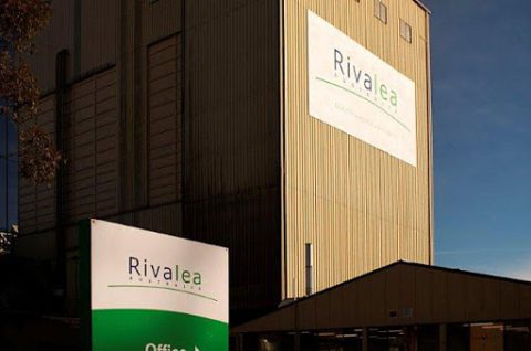 Case Studies | Toustone