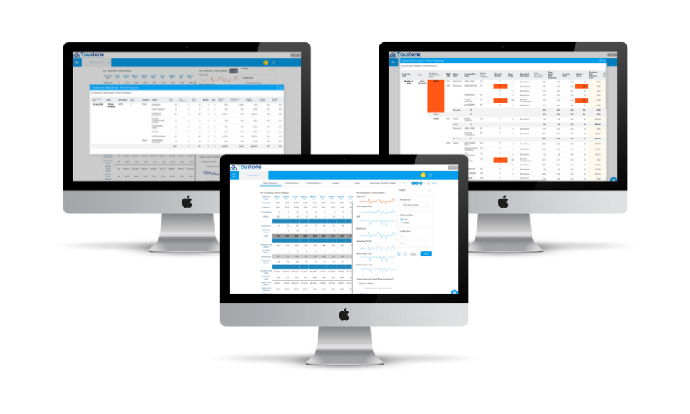 Rivalea Case Study | Toustone